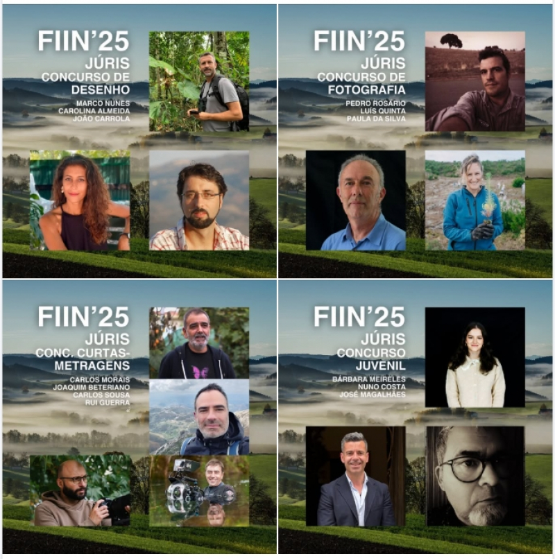 Festival de sensibilização ambiental com 4.000 trabalhos a concurso em ...